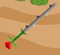 Battle Rose